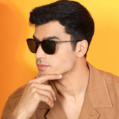 Brown Tortoise Gunmetal Brown Green Solid Full Rim Wayfarer Vincent ...